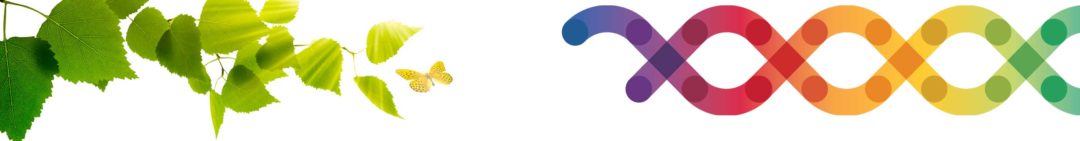 About Us - Bionic Air